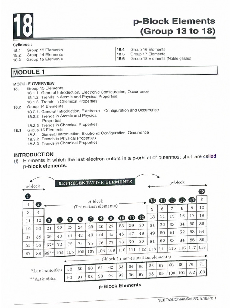 P - Block - Elements 11 01 2025 18 05 | PDF