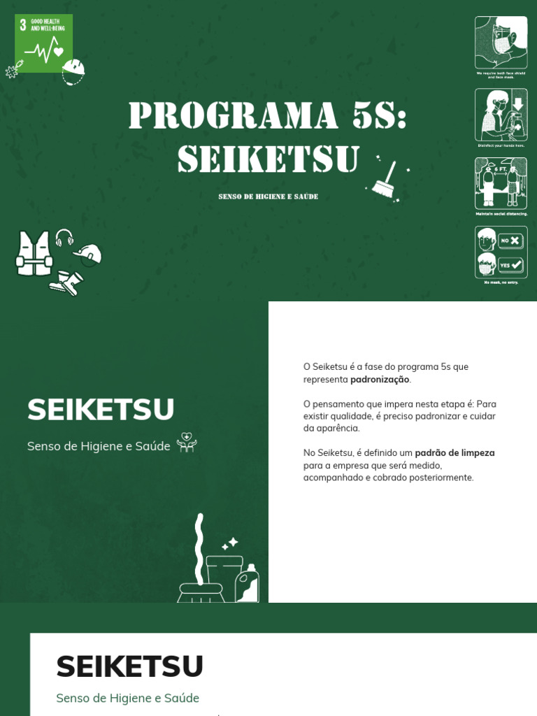 Seiketsu: Higiene e Saúde no 5S | PDF