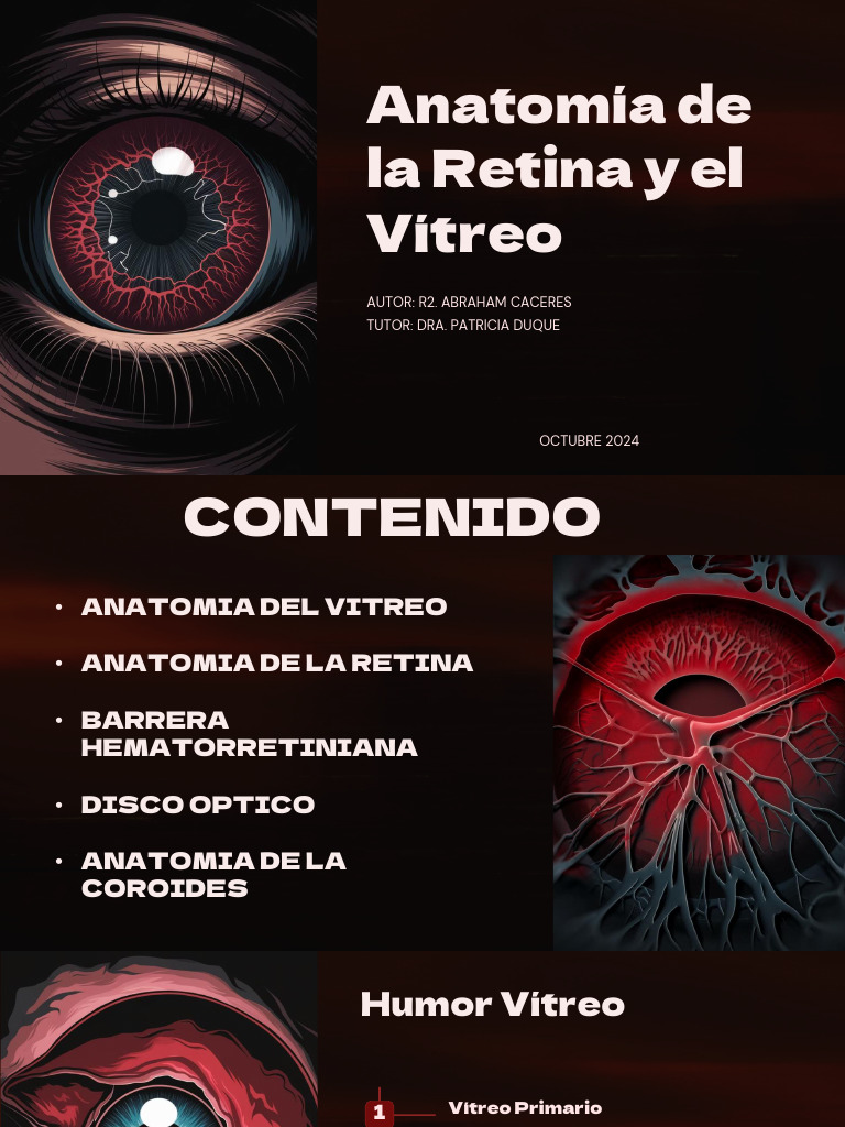 Anatomía del Vítreo y Retina Ocular | PDF | Retina | Percepción visual