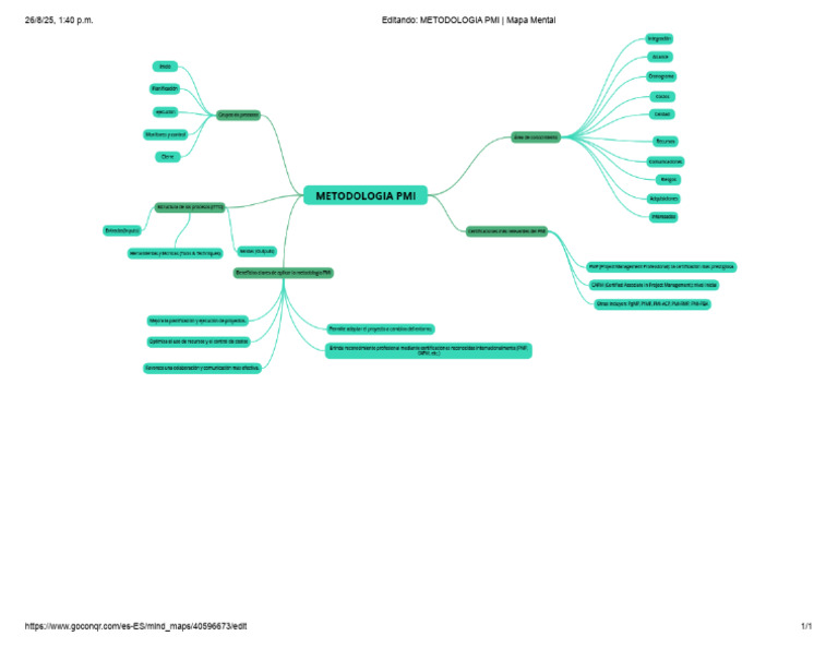 METODOLOGIA PMI - Mapa Mental - Manuel Ortega - Jerson Martinez | PDF