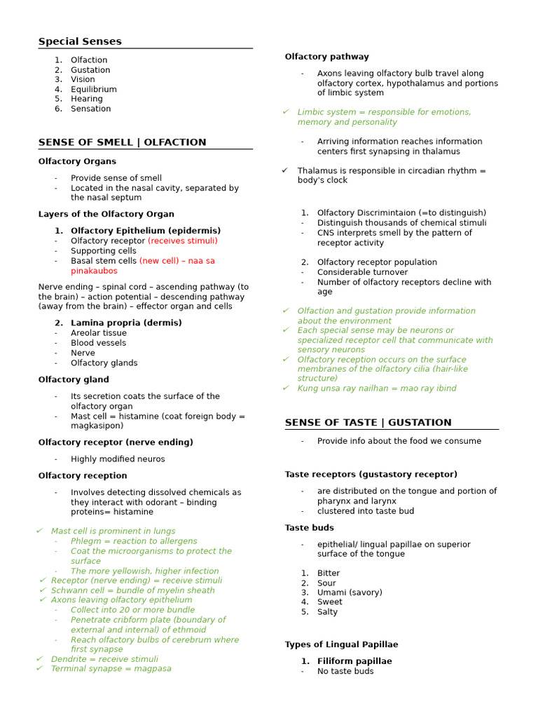Transes - Special Senses (Notes Ni Bo) | PDF | Taste | Senses
