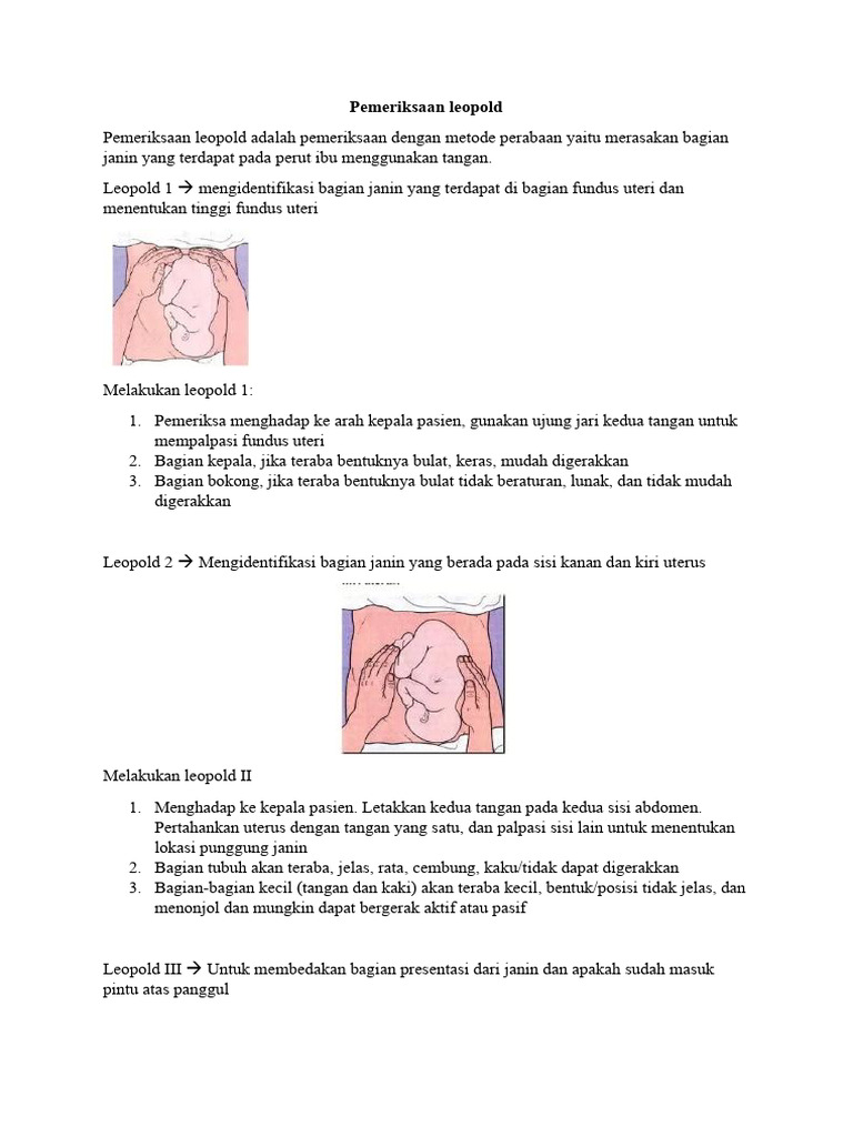 PR Nana_Pemeriksaan Leopold | PDF