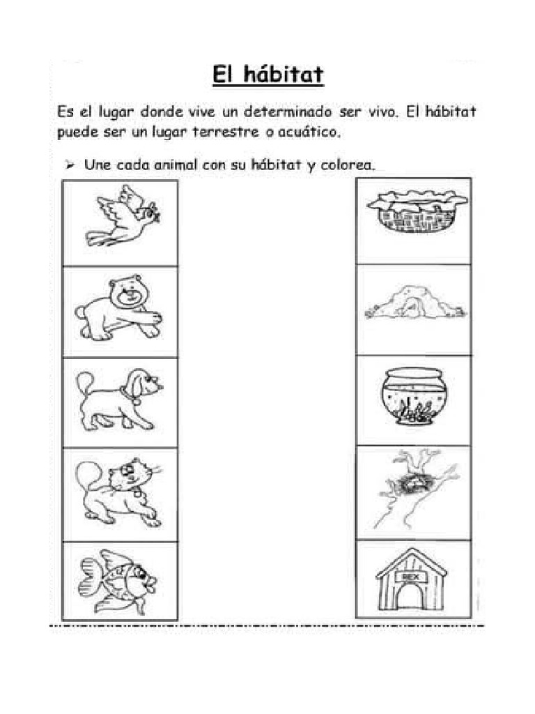 Habitat de Los Animales (Para Pintar) | PDF