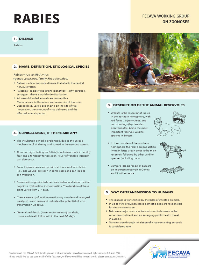 FECAVA_Zoonoses_05-2022_ENG_RABIES-4 | PDF | Rabies | Animal Diseases