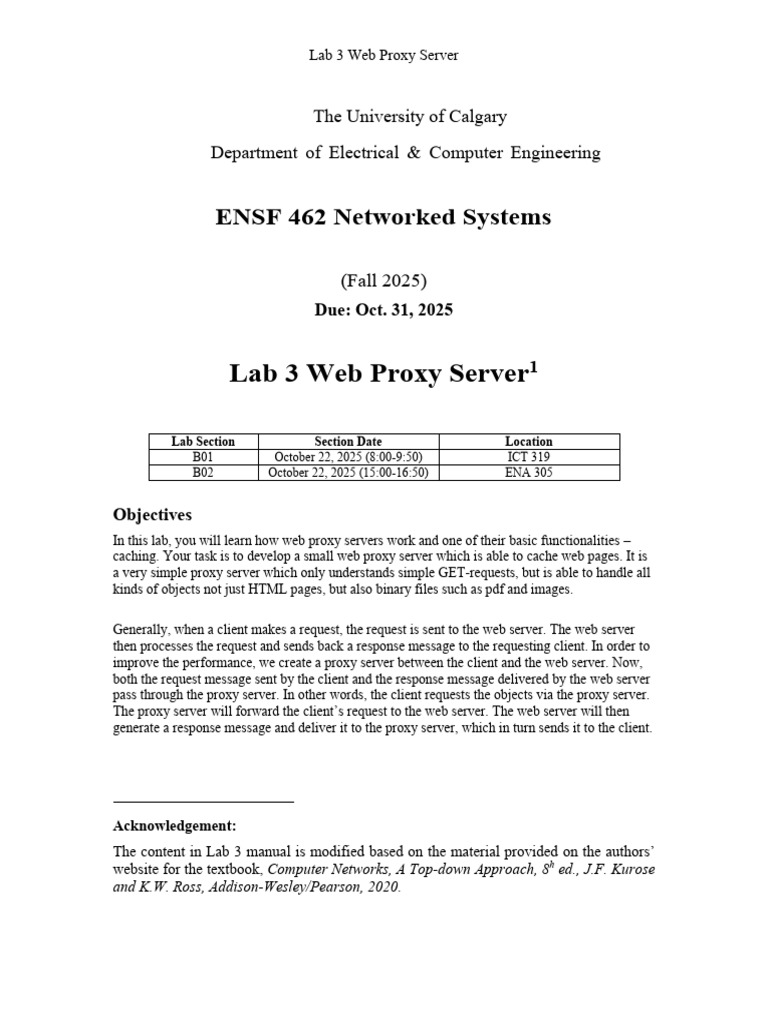 Lab3 Manual Fall2025 | PDF | Networking | Internet & Web