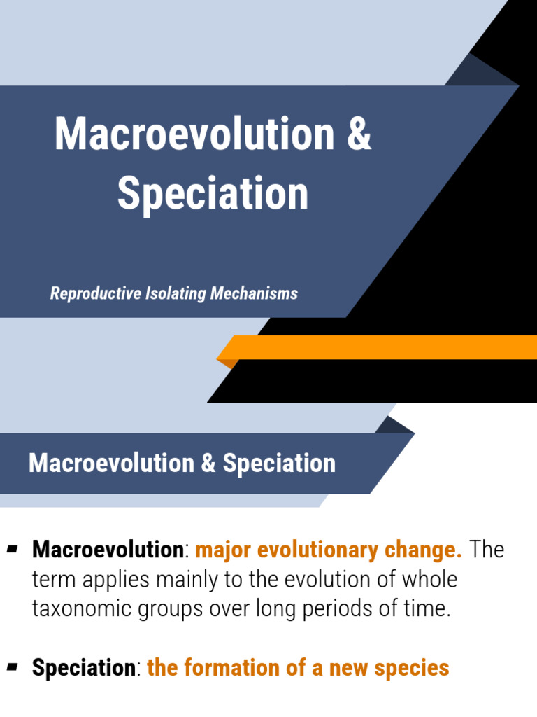 2.8 - Macroevolution and Speciation | PDF | Evolution | Hybrid (Biology)