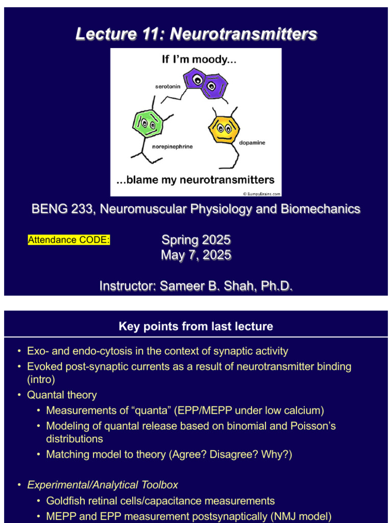 Spring2025 BENG233 Lecture11 | PDF | Long Term Potentiation ...