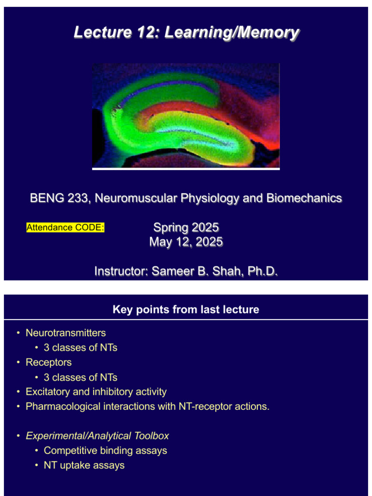 Spring2025 BENG233 Lecture12 | PDF | Long Term Potentiation | Chemical ...