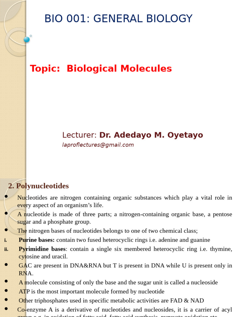 Biological Molecules and Enzymes Overview | PDF | Nucleotides | Enzyme ...