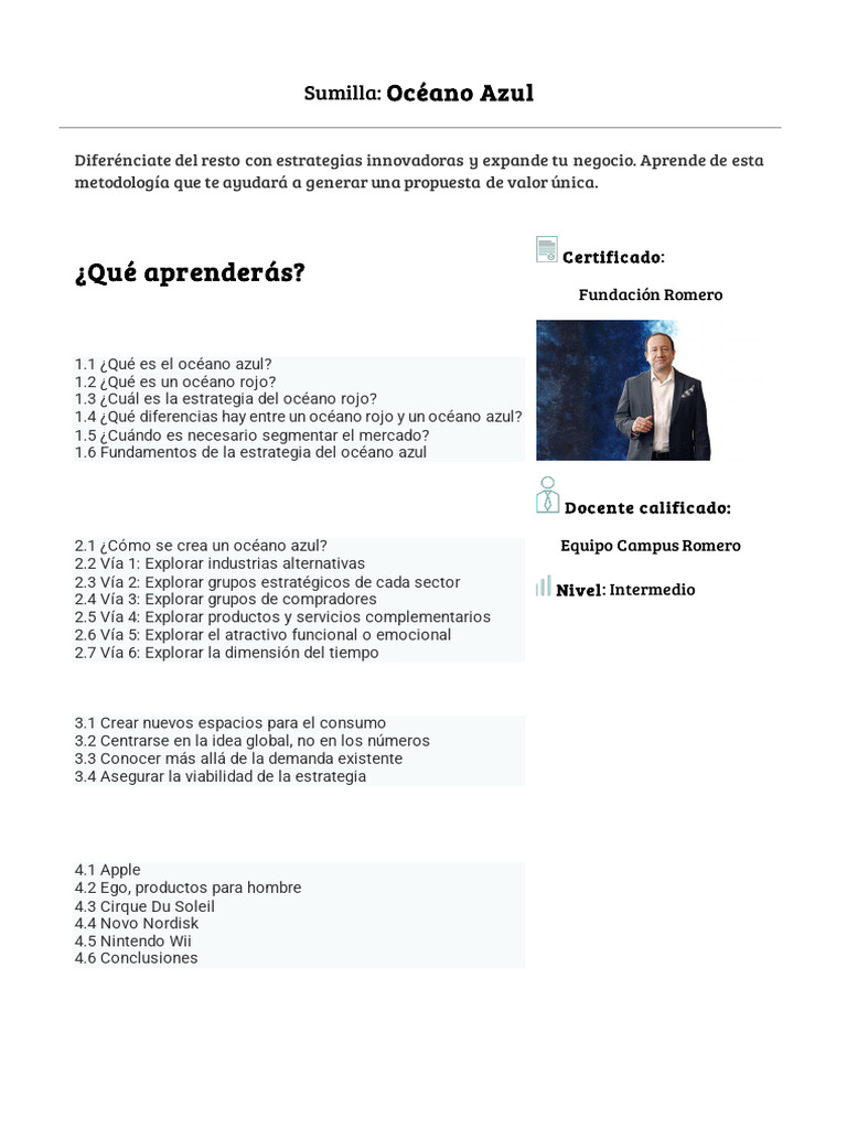 Estrategias del Océano Azul para Negocios | PDF