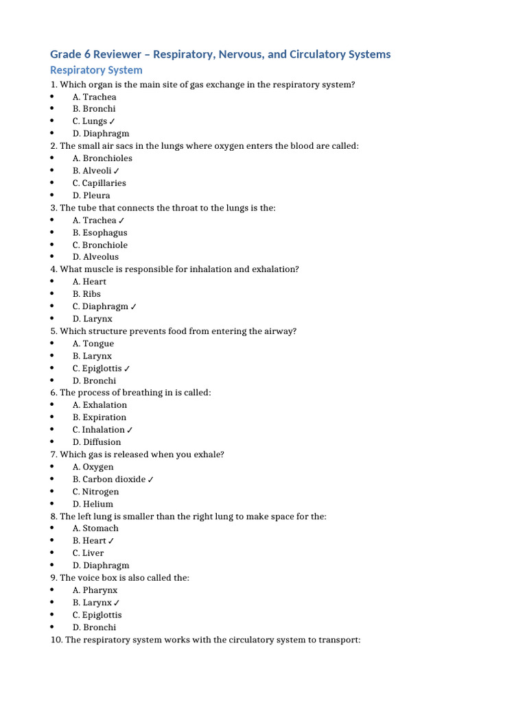 Grade 6 Review: Body Systems Quiz | PDF | Respiratory Tract ...
