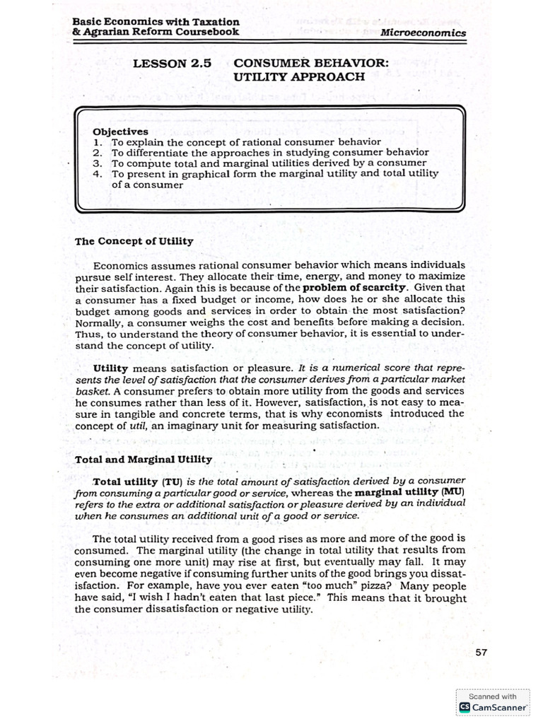 Consumer Behavior Utility Approach | PDF