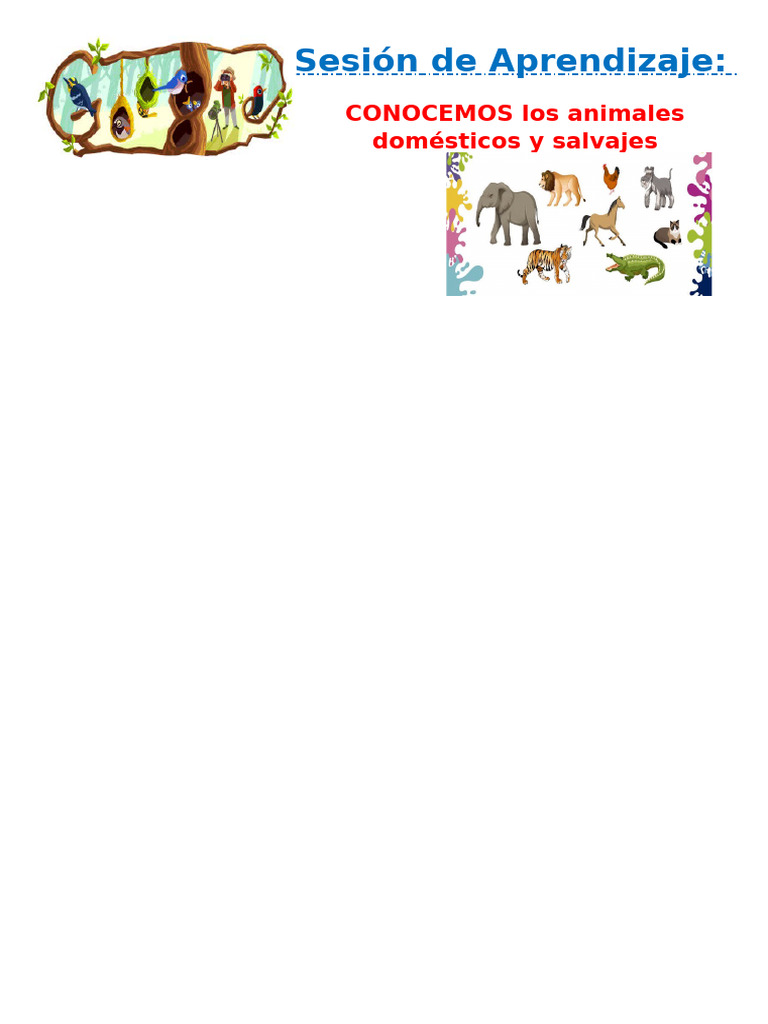 Conociendo Animales: Domésticos y Salvajes | PDF | Aprendizaje | Maestros