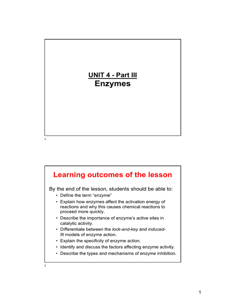 Unit 4 Enzymes 2025 Handout | PDF | Enzyme Inhibitor | Enzyme