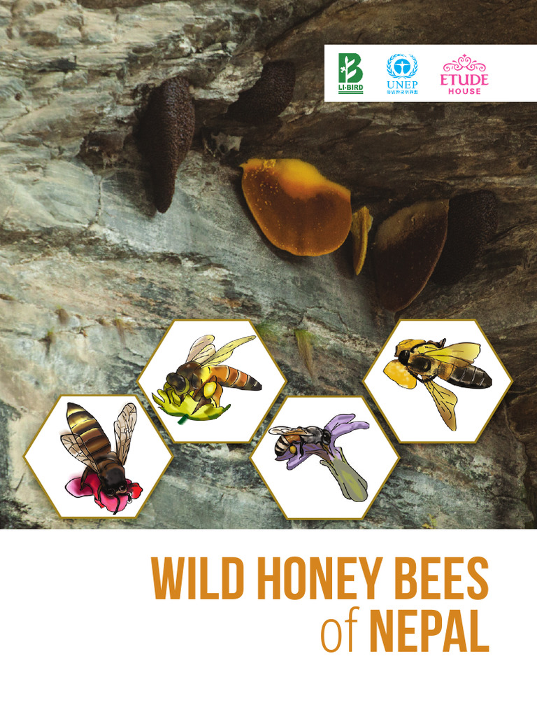 Wild Honey Bees of Nepal: Species & Importance | PDF | Honey Bee | Bees