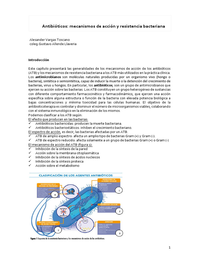 Documento Completo - PDF PDFA | PDF | Las bacterias | Ribosoma