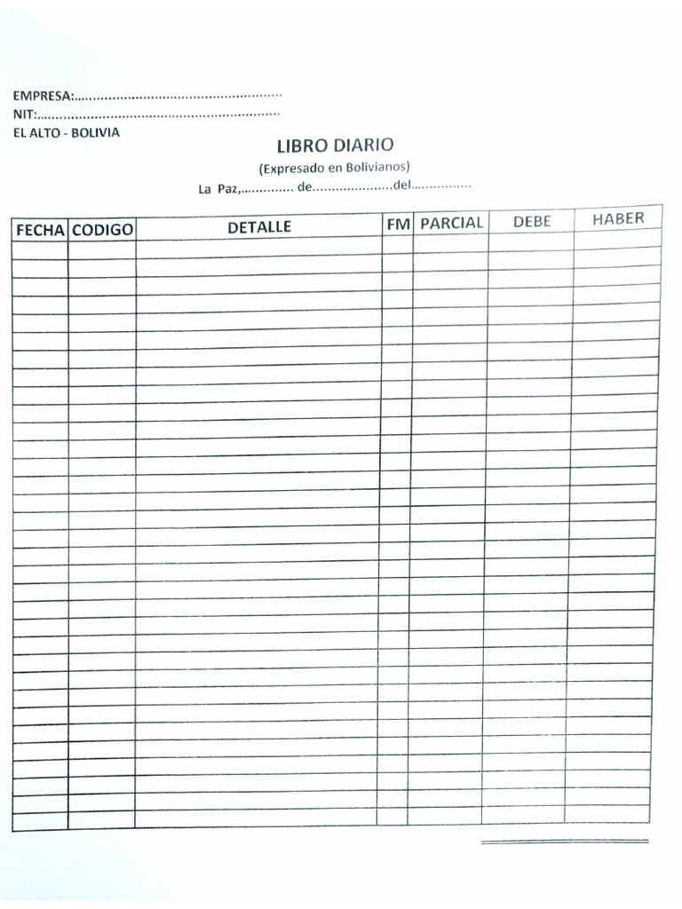 Formato Libro Diario | PDF