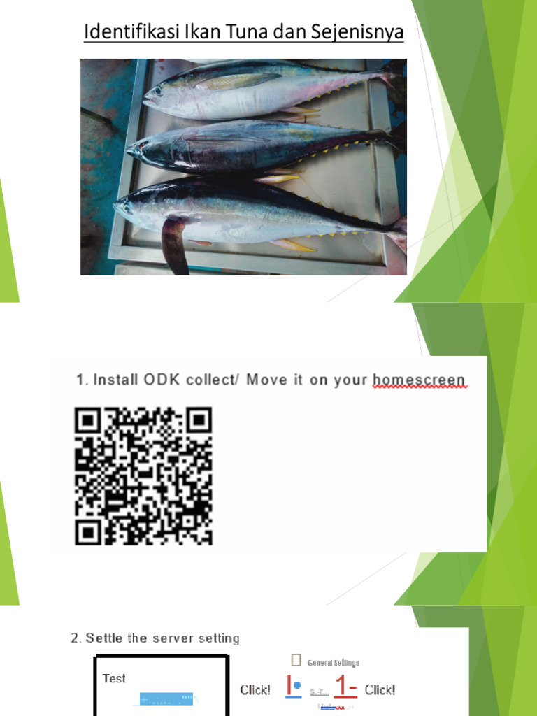 1. Identifikasi Ikan Tuna Dan Sejenisnya | PDF