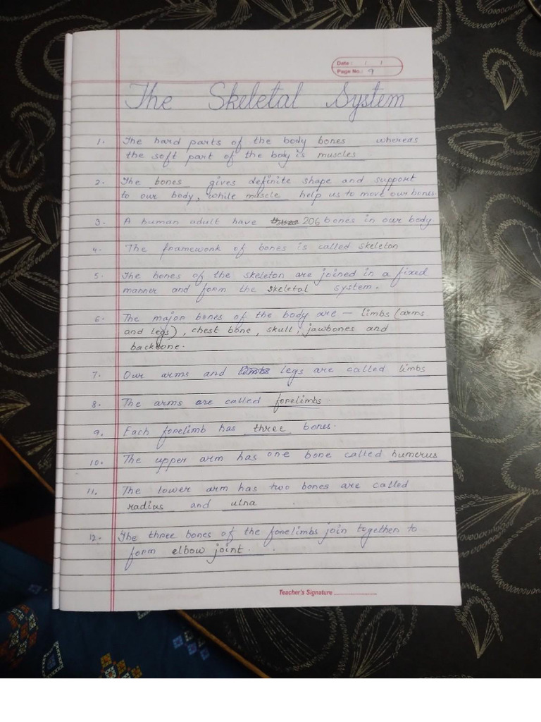 Skeletal System Notes | PDF