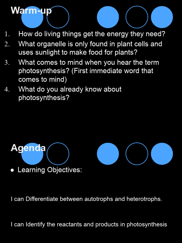 Chapter 4 (Photosynthesis) Part 1 | PDF | Cellular Respiration ...
