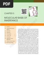 Class 12 Biology Notes Chapter 5 Molecular Basis of Inheritance | PDF ...