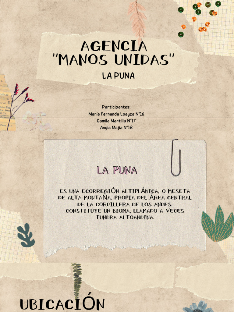 La Puna | PDF | Ciencias de la Tierra | Geografía Física