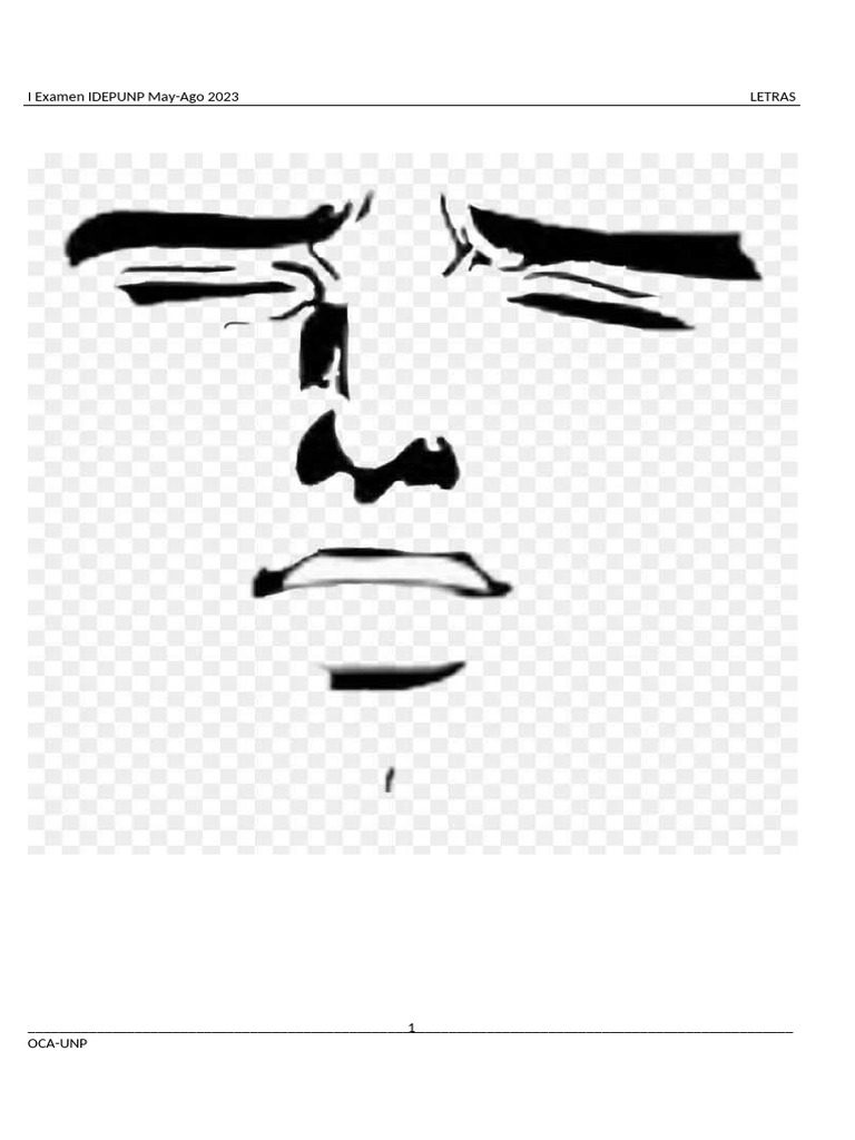 Primer Examen Letras Idepunp 2025 | PDF | Cetacea | Elasticidad (economía)