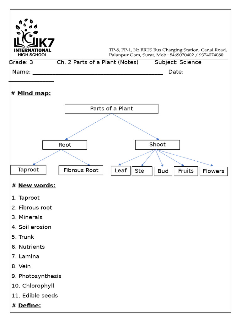 SCIENCE Ch.2 Parts of a Plant Notes 2025 | PDF