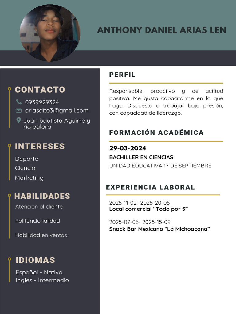 Perfil Profesional de Anthony Arias | PDF