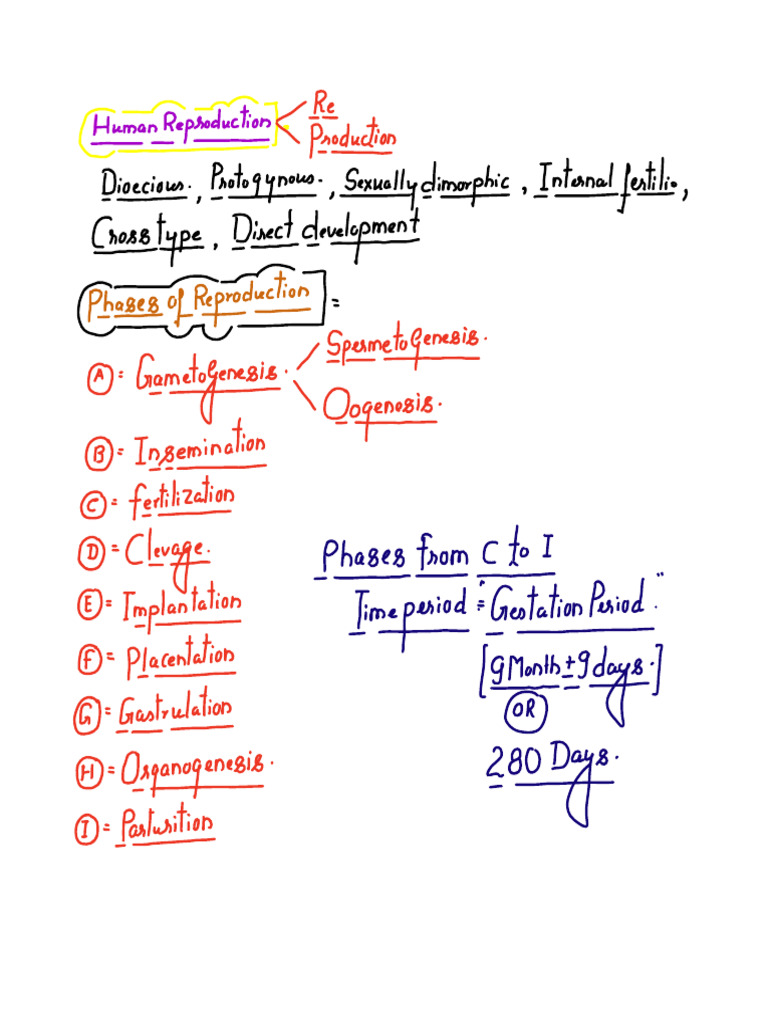 Reproduction 2 | PDF