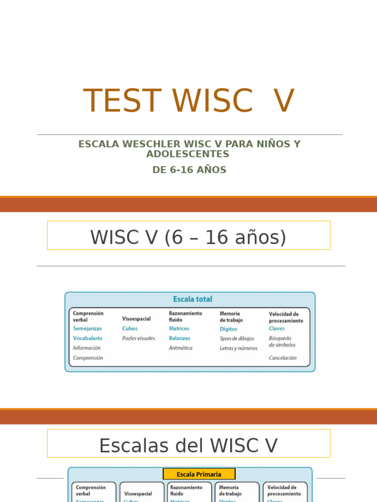 Guía Completa del Test WISC V para Niños | PDF | Inteligencia | Memoria