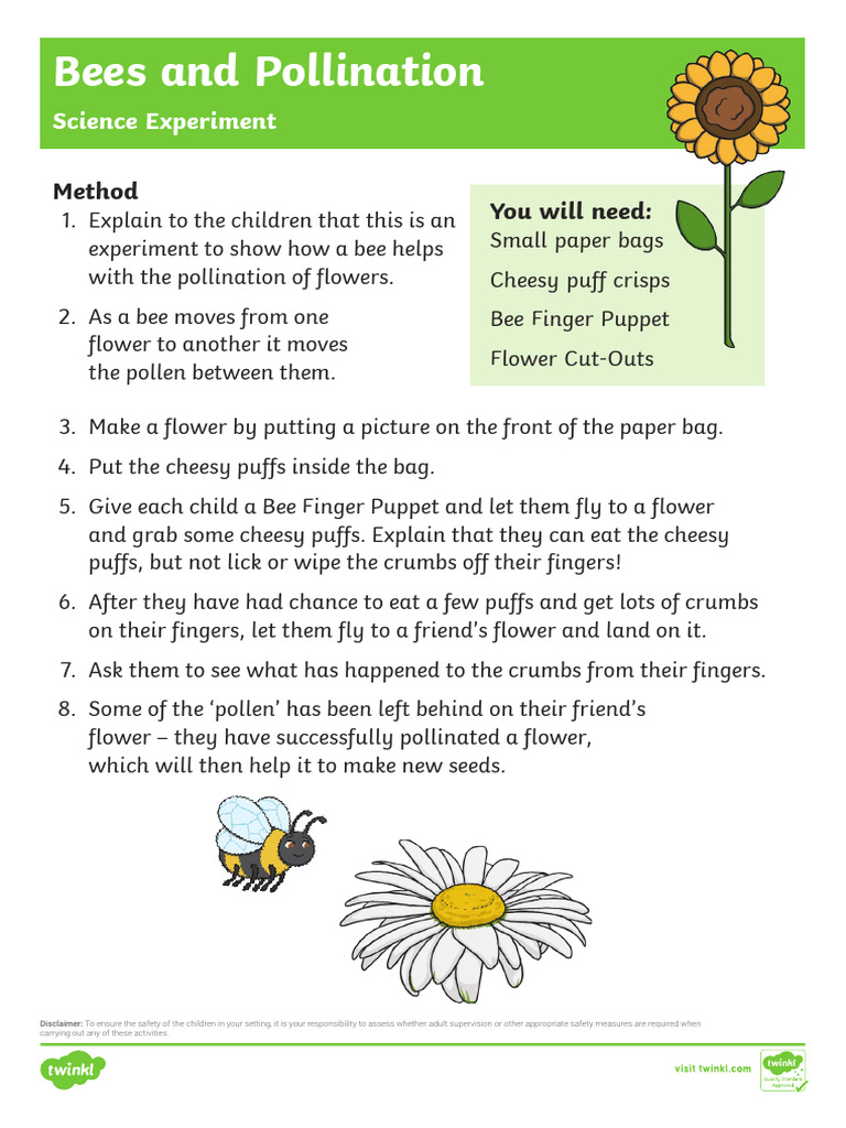 Bees and Pollination Science Experiment | PDF