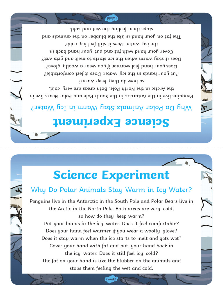 How Do Polar Animals Stay Warm in Icy Water Science Experiment Prompt ...