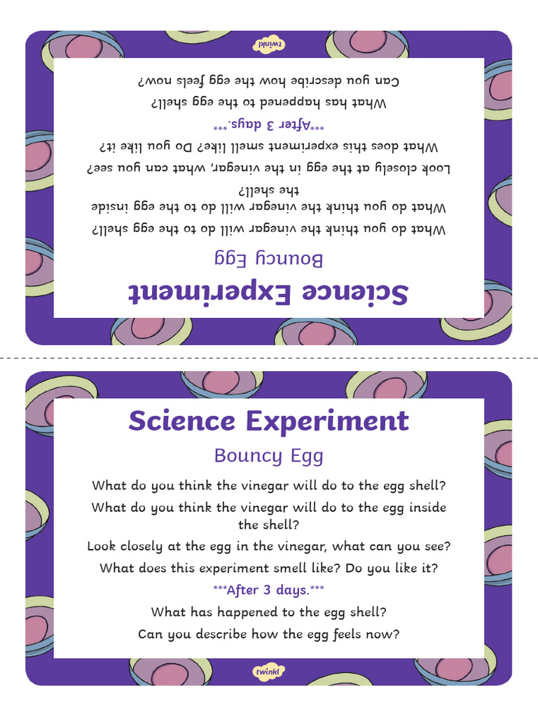 Bouncy Egg Science Experiment Prompt Card | PDF