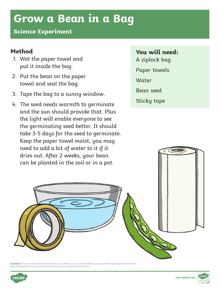 Grow a Bean in a Bag EYFS Science Experiment | PDF