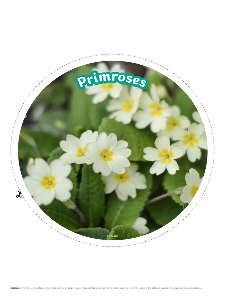 Bees and Pollination Science Experiment Flower Cut Outs | PDF ...