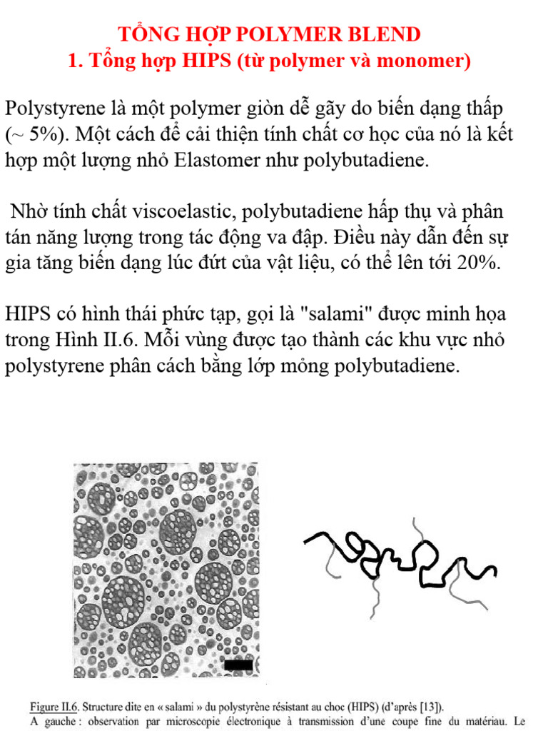 T NG H P Polymer Blend 1. T NG H P HIPS (T Polymer Và Monomer) | PDF