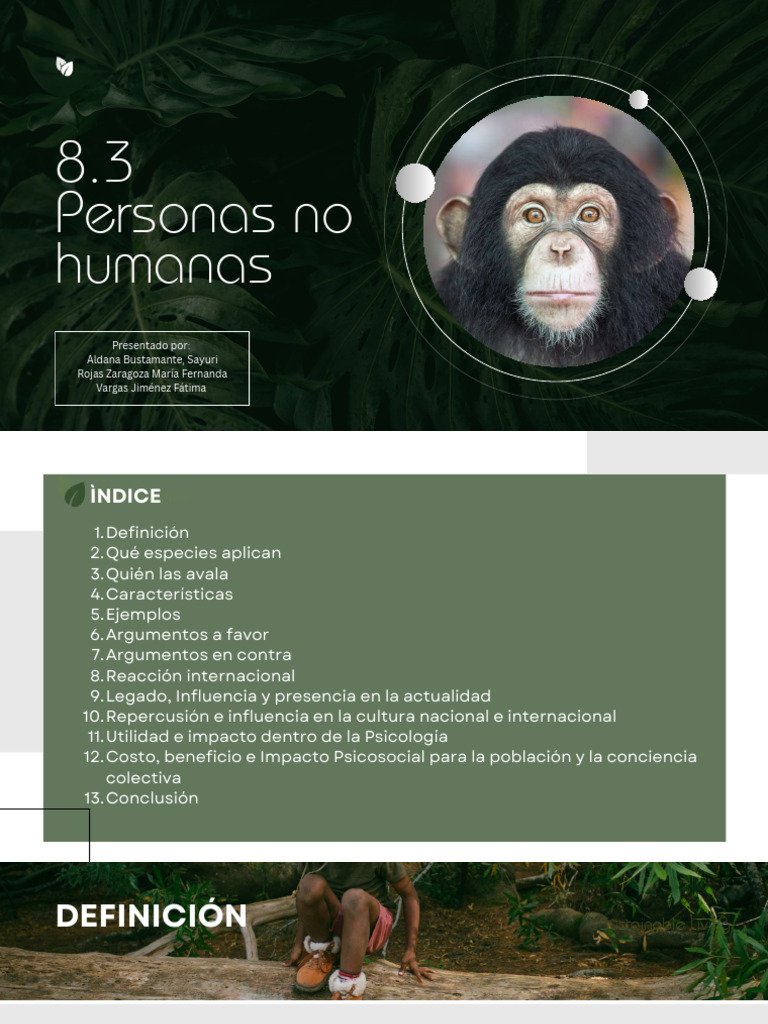 8.3 Personas No Humanas | PDF | Derechos | Las emociones