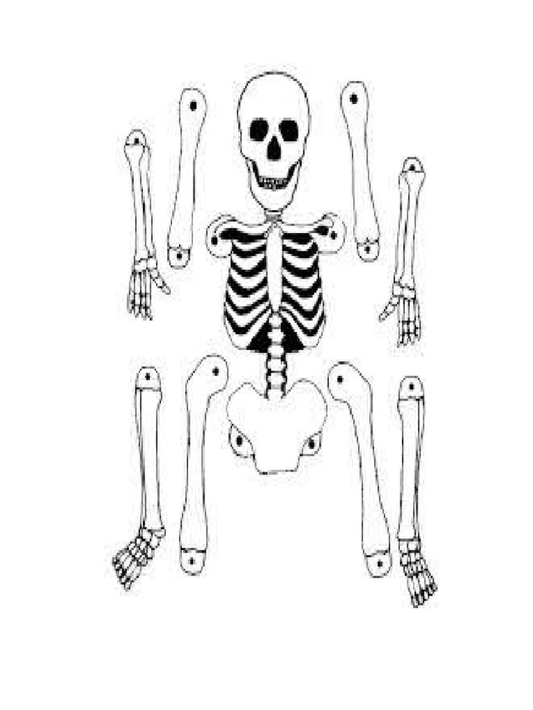 Calaca para Vestir Halloween | PDF