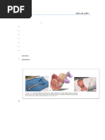 Gujarat PSI Paper 1 Part A Answer Key 13 April 2025.pdf | PDF