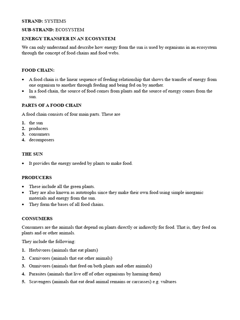 b8 - Energy Transfer in An Ecosystem | PDF | Food Web | Foods