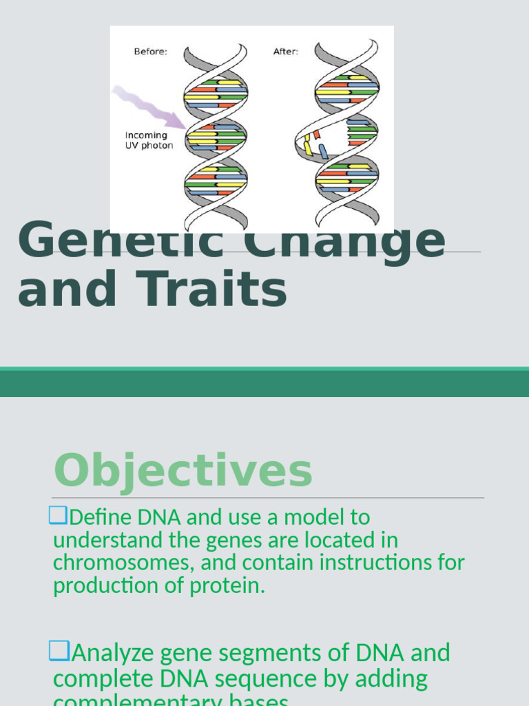 Understanding DNA, Genes, and Traits | PDF | Genetics | Dna