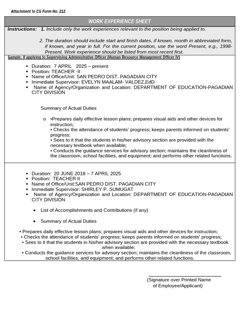 Work Experience Sheet for Applicants | PDF