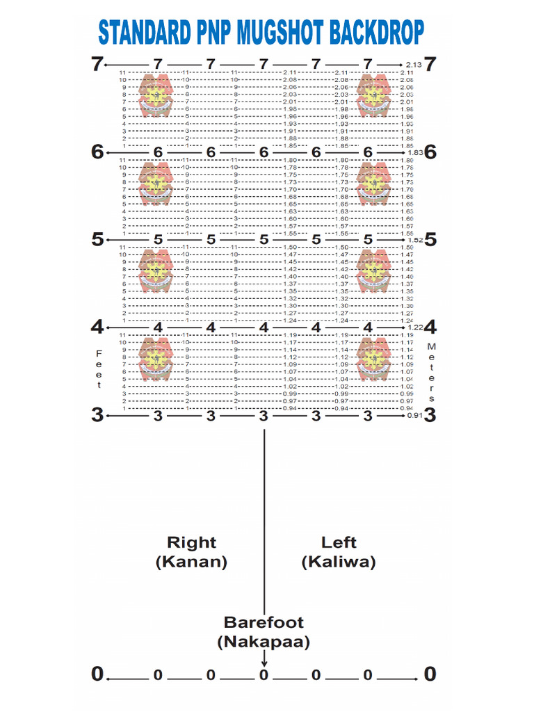 Mugshot Backdrop PDF | PDF