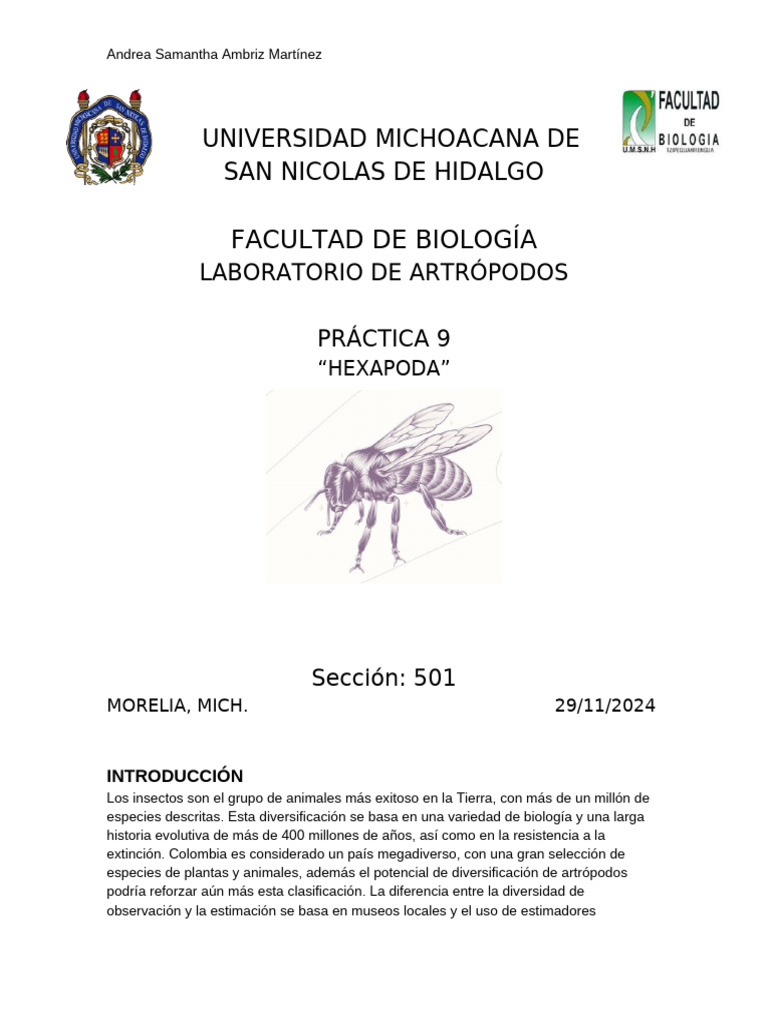 HEXAPODA | PDF | Hexapoda | Mosca