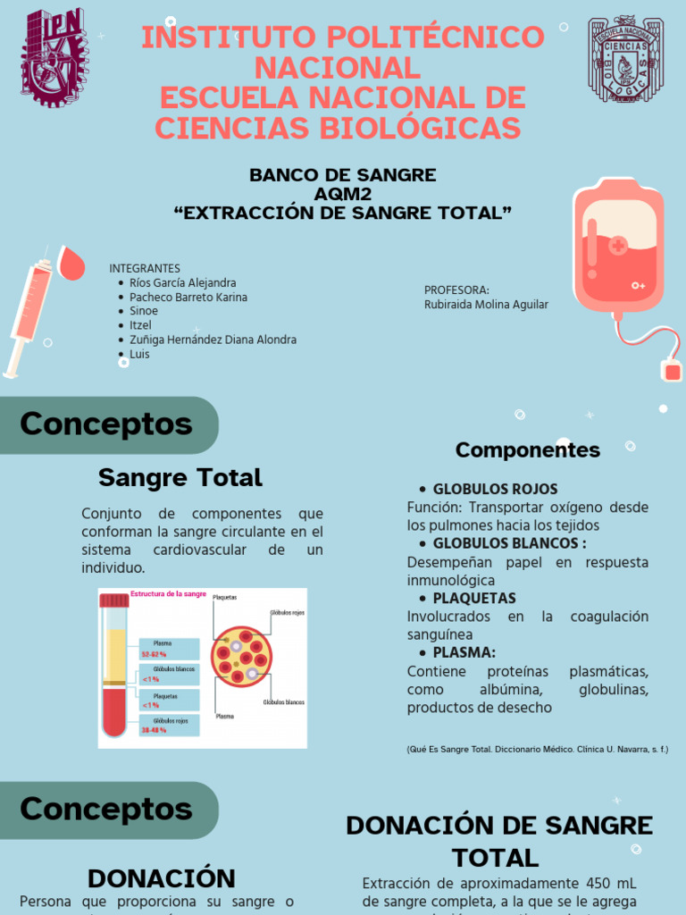 Sangre Total. Banco - 20251017 - 143243 - 0000 | PDF | Sangre ...
