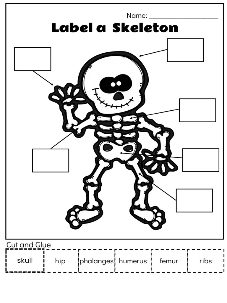 Identify The Clothes Worksheet in Black and White Printable Style PDF | PDF
