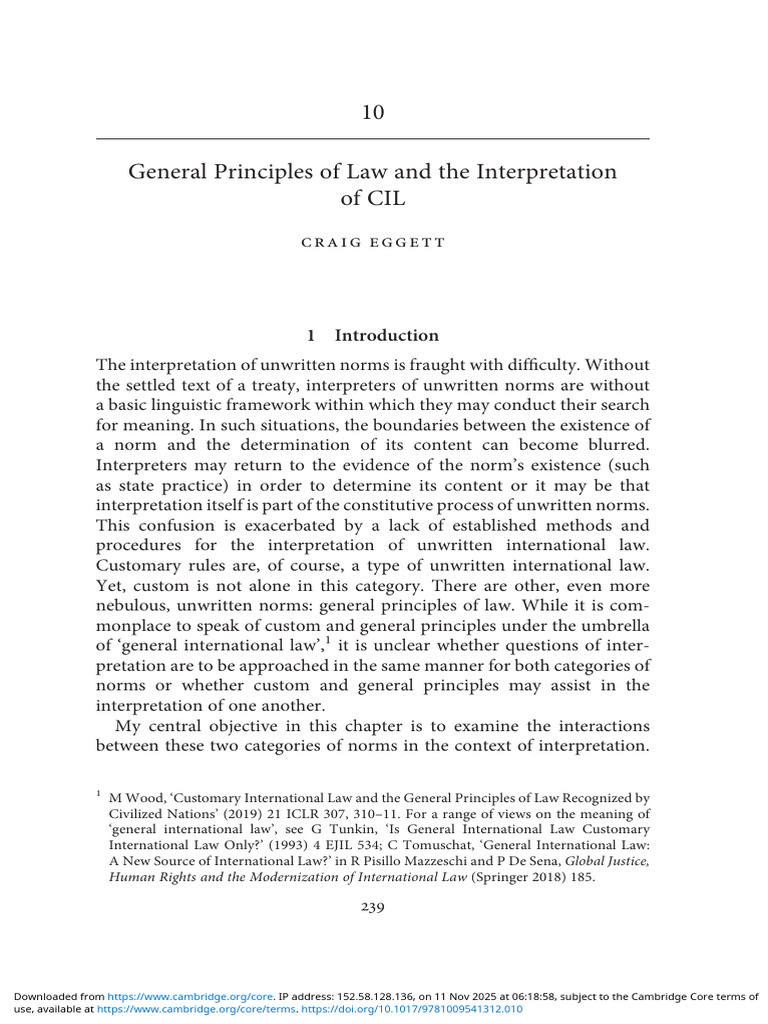 Interpreting General Principles of Law | PDF | International Law | Justice