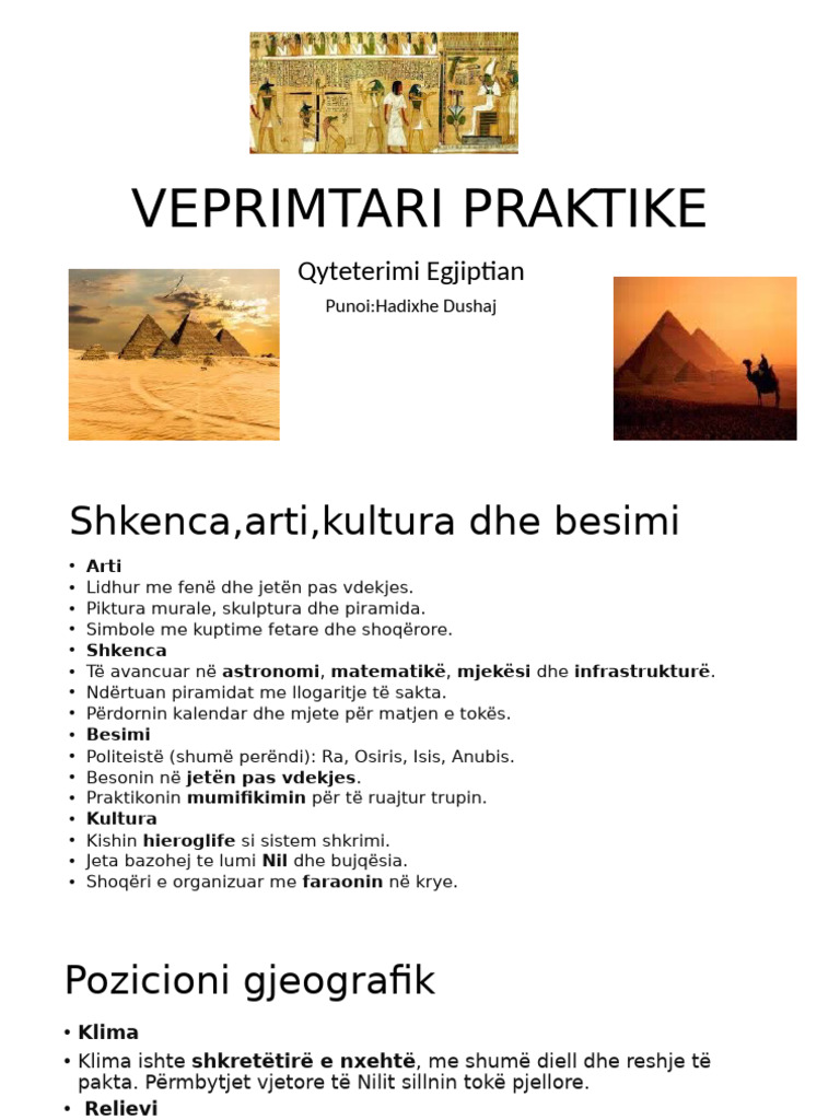 Veprimtari Praktike Hadixhe Dushaj | PDF