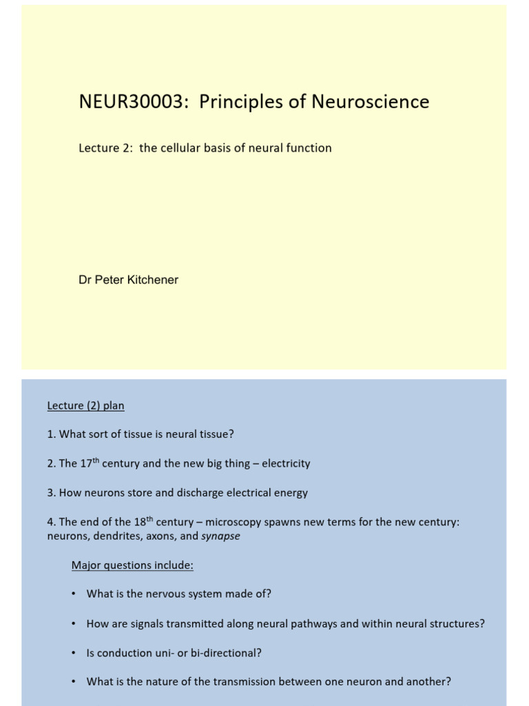 Cellular Basis of Neural Function | PDF | Neuron | Nervous System